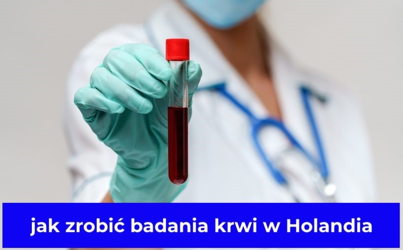 jak zrobić badania krwi w Holandia | Polacy w Niemczech